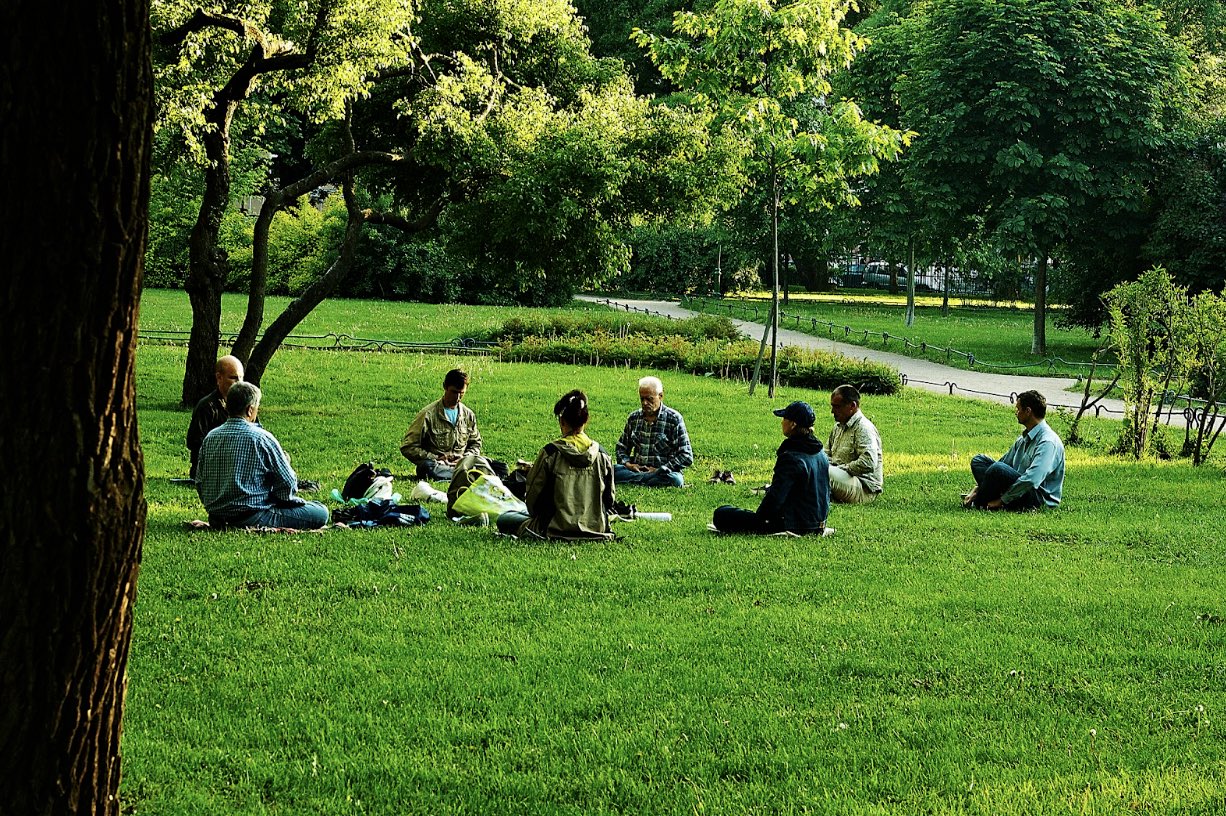 Guided Meditations in Nature - Rewild Yourself