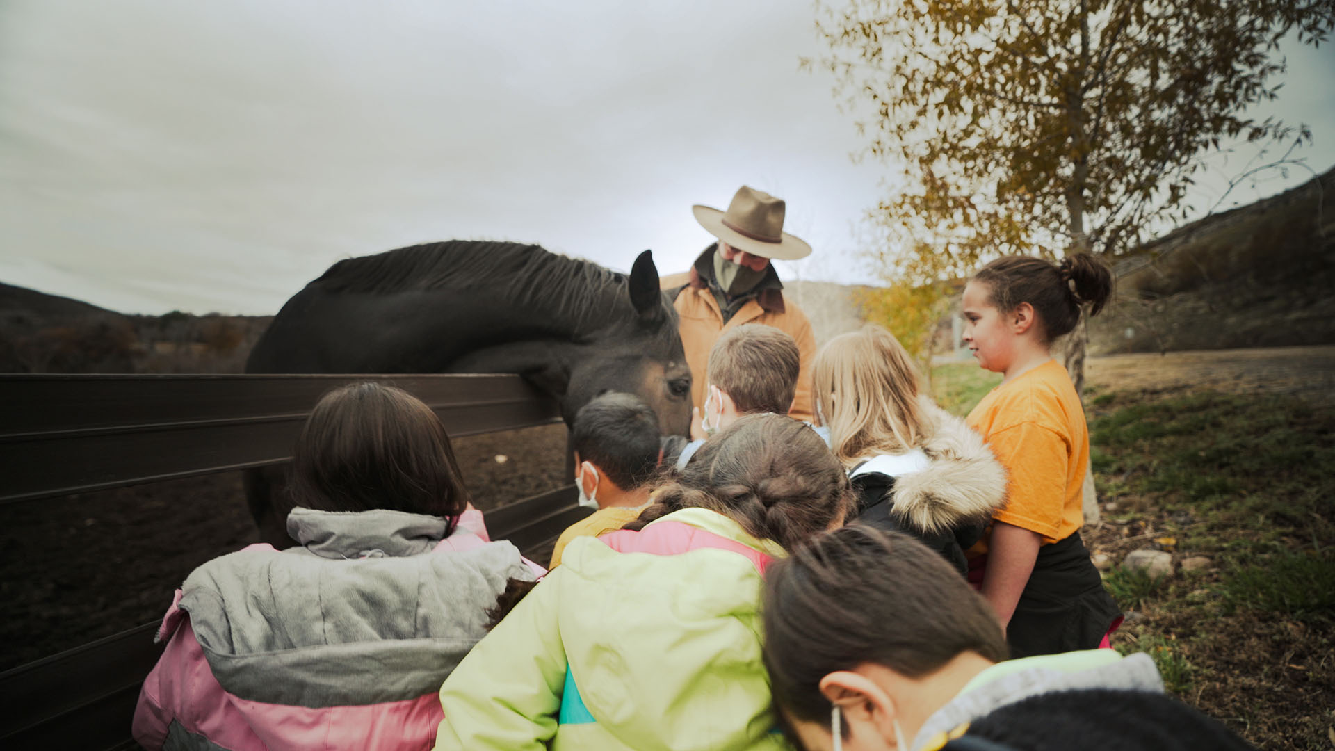 What is the Compassion pathway to Nature Connection? - Rewild Yourself