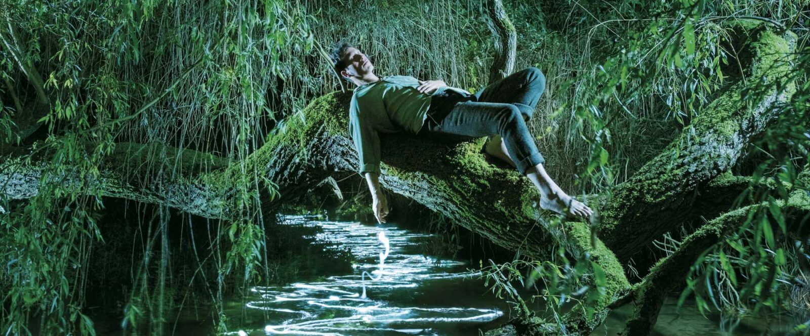 Review and deep dive into Sam Lee's album: Songdreaming - Rewild Yourself
