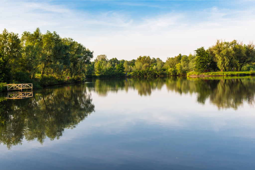 June 2024 Nature Events in the UK - Rewild Yourself