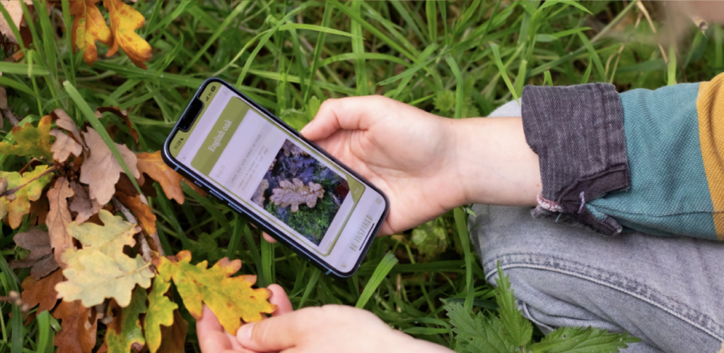 Wylder - PARTNER FEATURE - Rewild Yourself