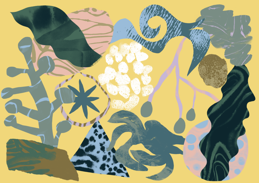 Tom Abbiss Smith: Creative Response: Beauty - Rewild Yourself