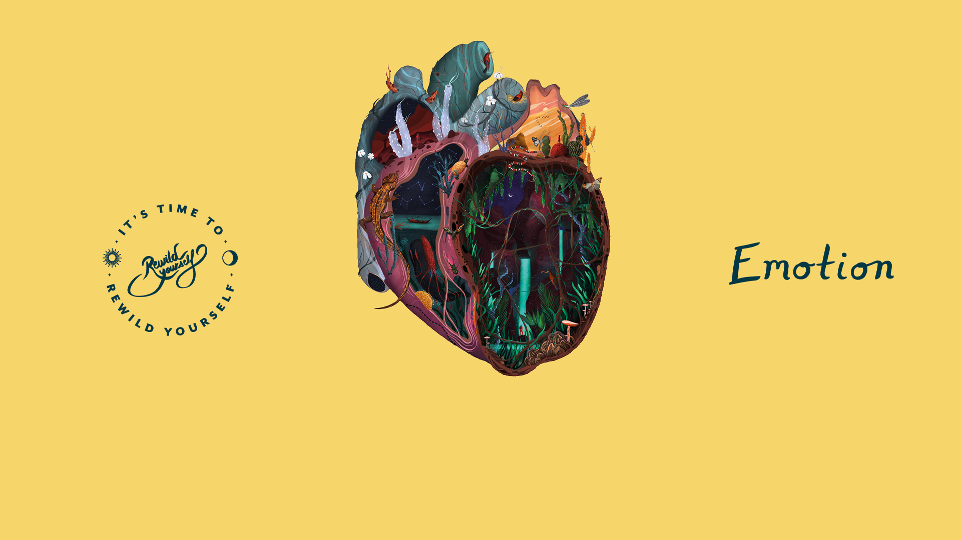 Resources for Heavy Emotions - Rewild Yourself