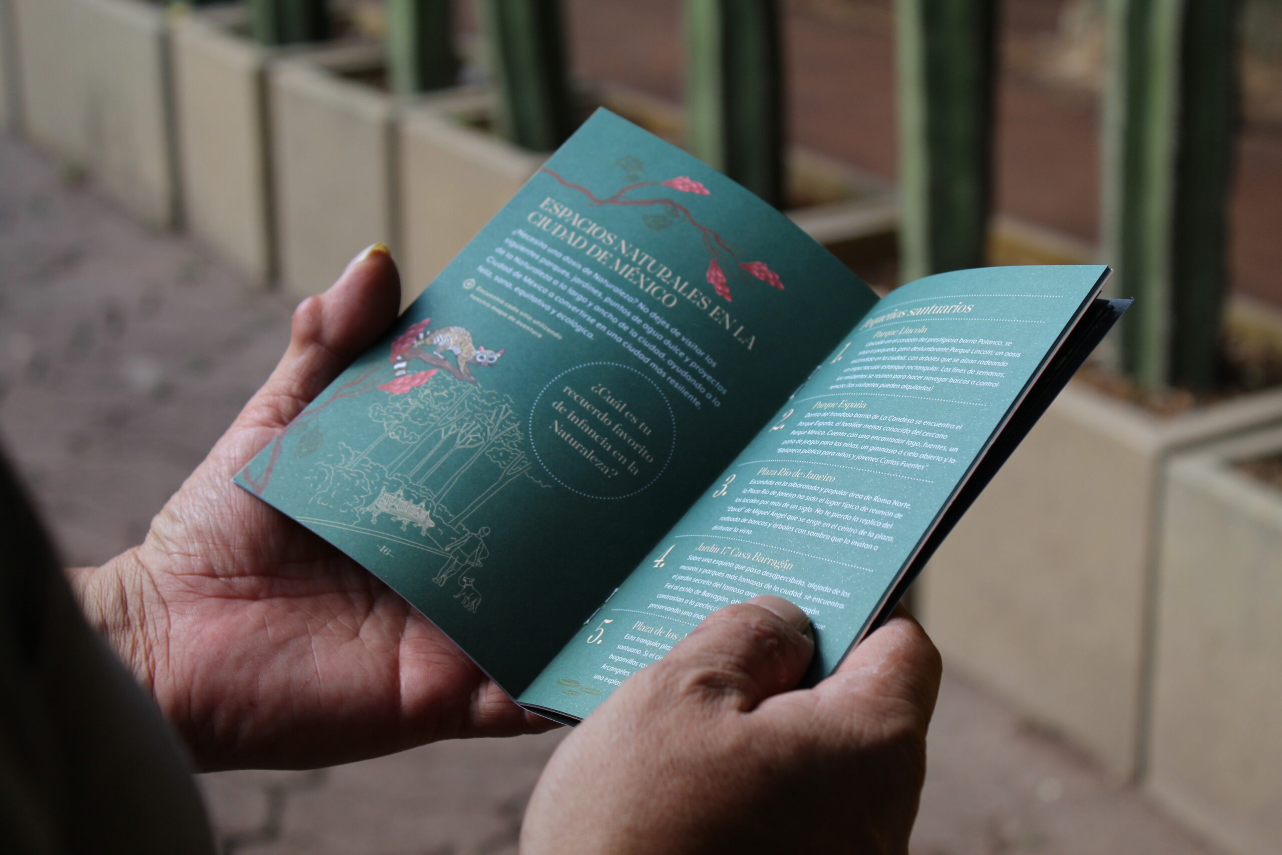 The Nature Guide Series - Rewild Yourself