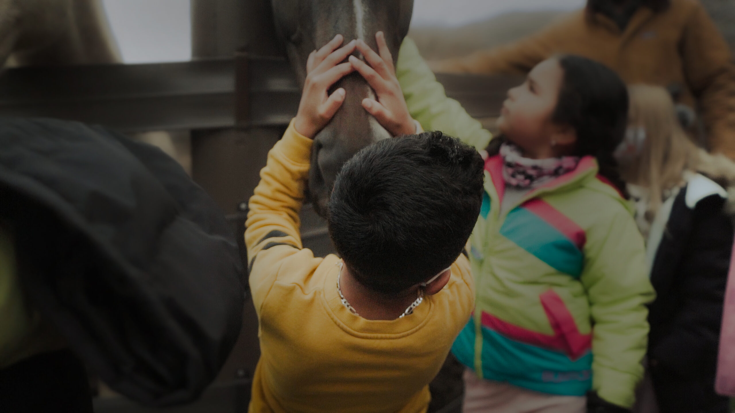 Join the COMMUNITY SPOTLIGHT CHALLENGE - Rewild Yourself