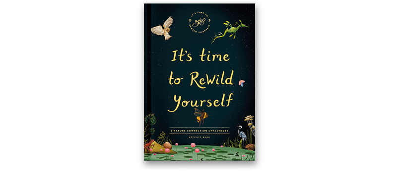 Nature Connection Activity Book - download free - Rewild Yourself ...