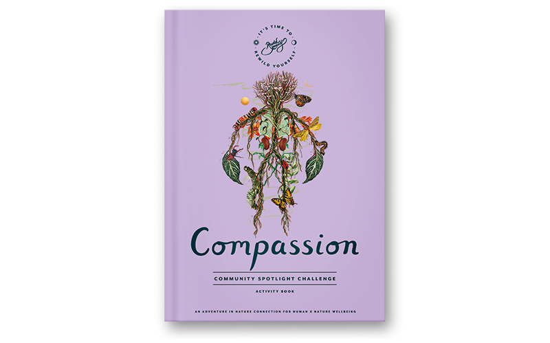 Download the 5 Nature Connection Pathway Books Here - Rewild Yourself ...