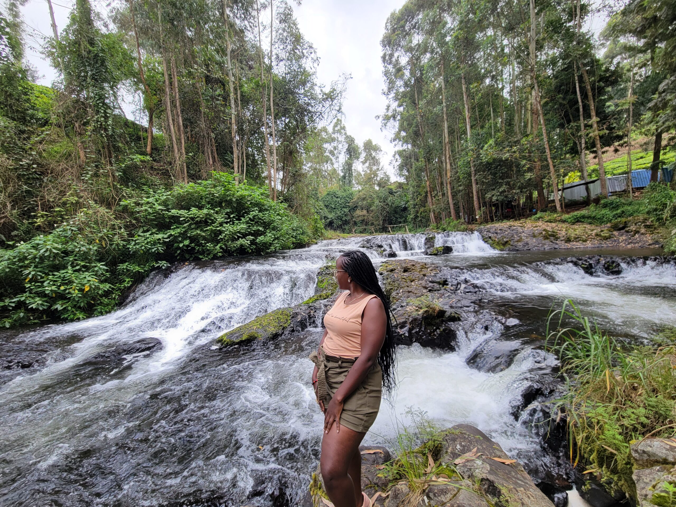 Wangûi Mwangi - Rewild Yourself